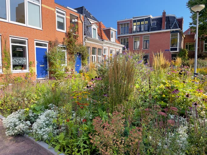 What's Green Infrastructure & Why's It So Important? | Ecoraster North ...